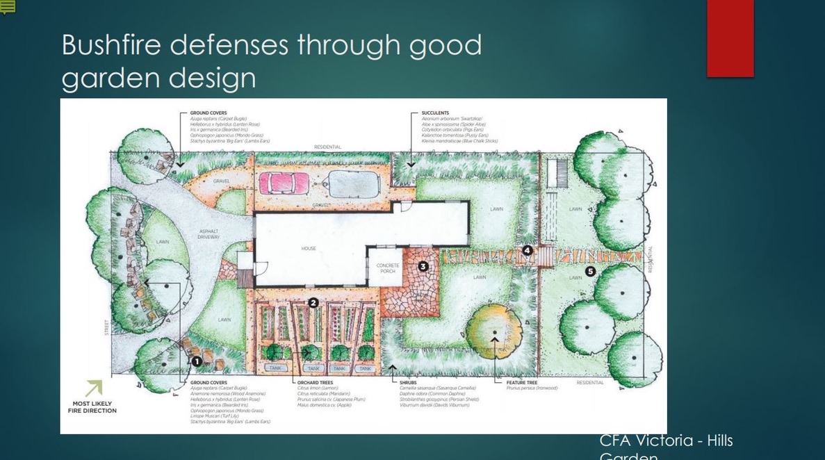 Living with Bushfire Risk: Landscape and Garden Design | Katoomba Area ...